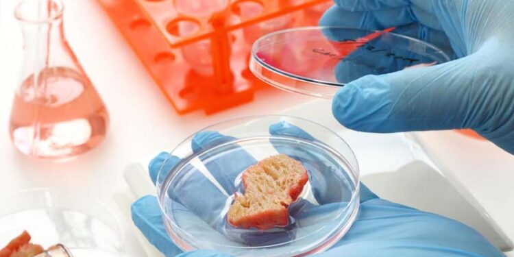 Lab-grown meat startup in California receives first approval from US ...