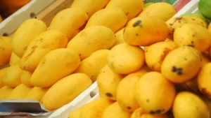 Mangoes from Pakistan will be transported by road to China