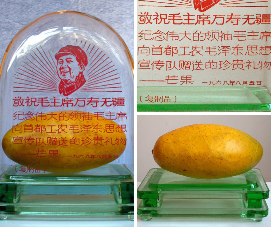 Mangoes from Pakistan will be transported by road to China