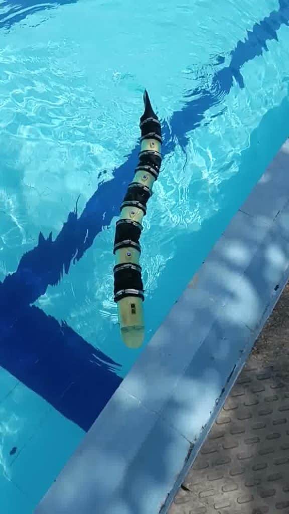 Bio-Inspired Underwater Snake Robot Developed by NUST PNEC
